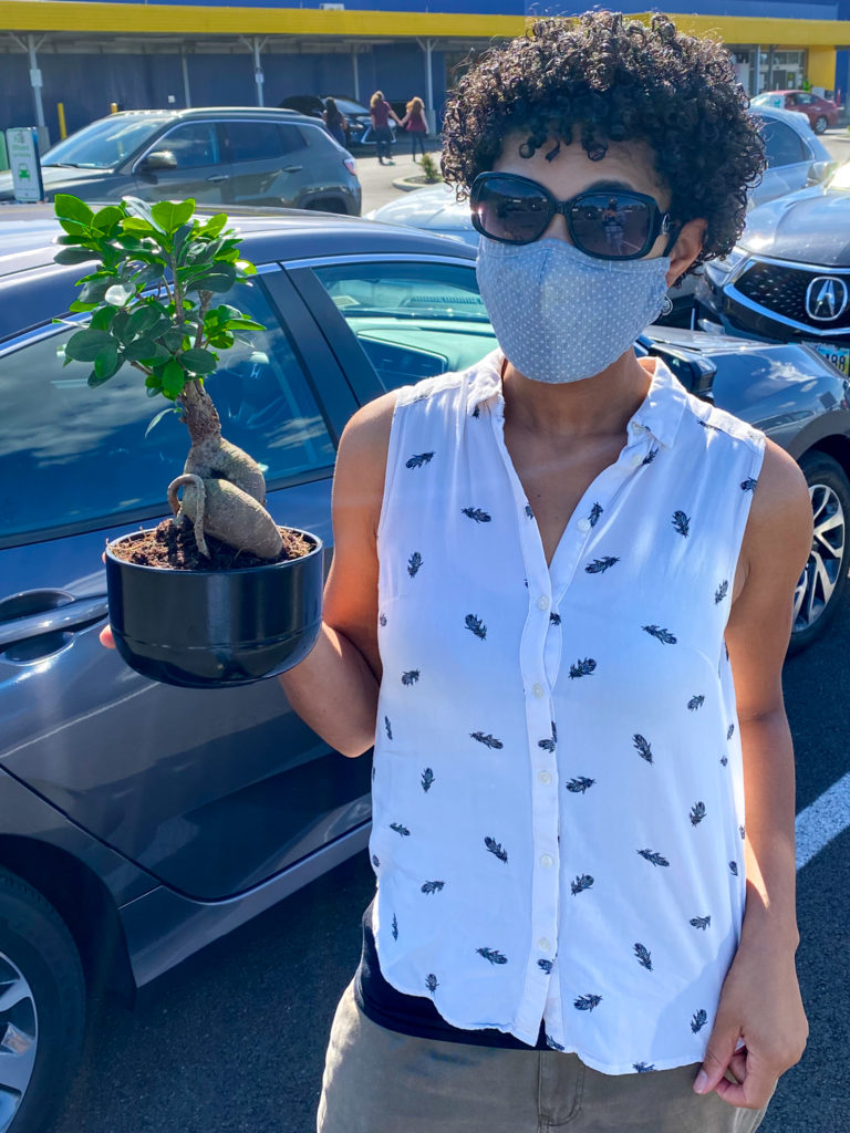 5 Things Every New Plant Mom Should Know - Life in Apt B