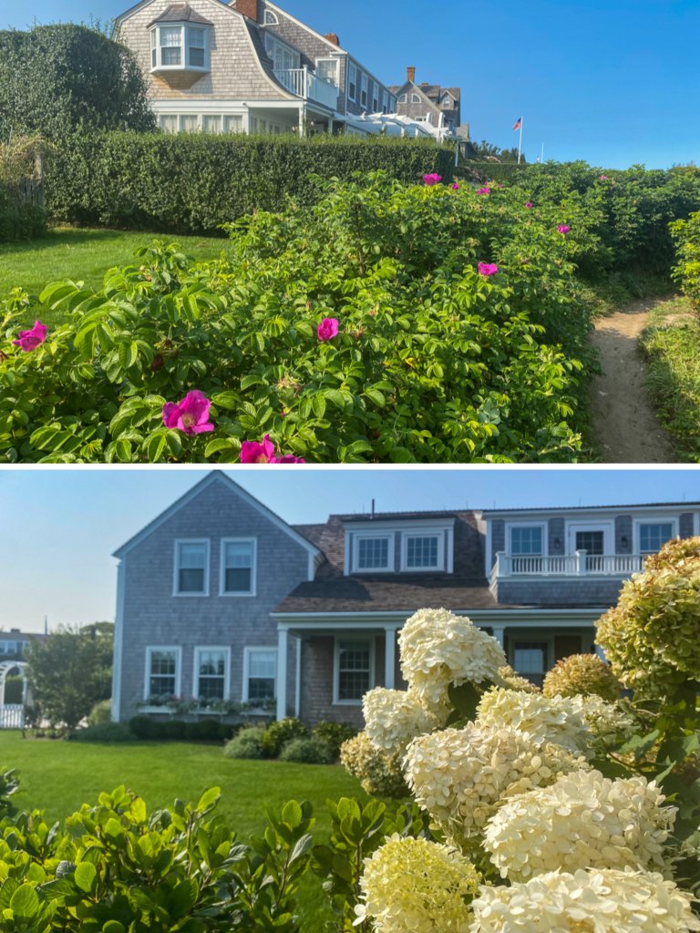 The Perfect Day Trip To Nantucket | 7 Things To Do - Life in Apt B